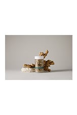 alo Digest And Debloat Capsules | REVOLVE