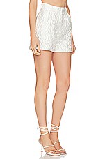 Amanda Uprichard Jane Shorts in Bellis | REVOLVE