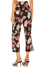 AMUSE SOCIETY Coco Woven Pant in Black | REVOLVE