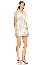 ANINE BING Janet Dress in White Plaid | REVOLVE