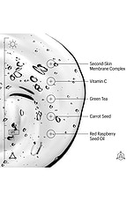 Allies of Skin The One SPF 50 Invisible Sunscreen Gel | REVOLVE