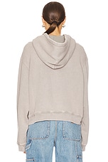 Alexander Wang Hoodie With Blade Logo in Washed Oyster | REVOLVE