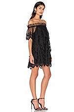 Alexis Ali Dress in Black | REVOLVE