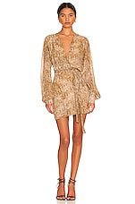 Alexis Dula Dress in Animal Print | REVOLVE