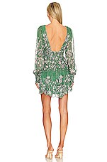 HEMANT AND NANDITA Lisa Long Sleeve Mini Dress in Moss Green | REVOLVE