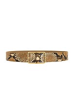 B-Low the Belt Milla Python Belt in Camel & Gold | REVOLVE