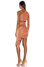 Bronx and Banco X REVOLVE Gaia Mini Dress in Brick | REVOLVE