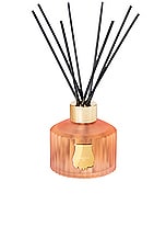 Trudon X Les Archives Nationales Tuileries Diffuser in Floral & Fruity Chypre | REVOLVE