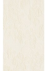 Clea Kalina Ric Rac Top in Cream Jacquard | REVOLVE