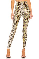 Commando Faux Leather Animal Legging in Neon Snake | REVOLVE
