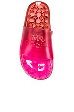 Coach Ulyssa Slide in Petunia | REVOLVE