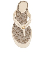 Coach CHANCLAS FRANKI en Chalk | REVOLVE