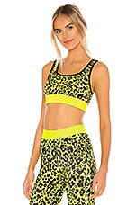 cor designed by ultracor Leopard Scoop Neck Bra in Neon | REVOLVE