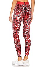 cor designed by ultracor Leopard Star Legging in Red | REVOLVE