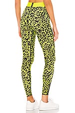 cor designed by ultracor Leopard Legging in Neon | REVOLVE