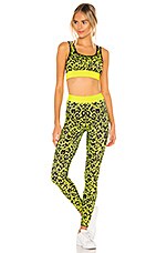 cor designed by ultracor Leopard Legging in Neon | REVOLVE