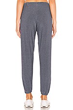 Chaser Stripe Pants in Blue Jay | REVOLVE
