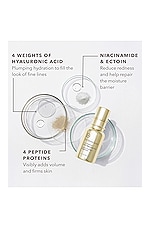 Dr. Dennis Gross Skincare Derminfusions Fill + Repair Serum | REVOLVE