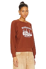 DAYDREAMER Willie Nelson Stardust Tour Raglan Crew in Sable | REVOLVE