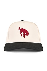 Darlin Horse Cap in Cream & Red | REVOLVE