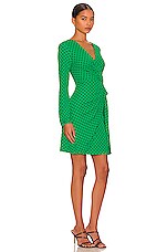 Diane von Furstenberg Toronto Dress in Double Dot Medium Green Black ...