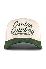 Eleven Eleven Caviar Cowboy Cap in Beige & Forest Green | REVOLVE