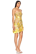 ELLIATT New Age Dress in Yellow Multi | REVOLVE