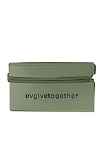evolvetogether Amazonia 30 Day Pack Face Masks in Green | REVOLVE