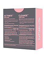 Flat Tummy Tea Two Week Cleanse | REVOLVE