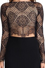 For Love & Lemons Grace Crop Top in Black | REVOLVE