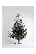 Garden Glory The Root Christmas Tree Stand in Silver | REVOLVE