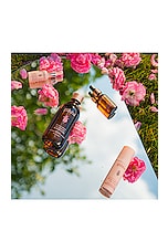 Gulsha Ultimate Rosewater | REVOLVE