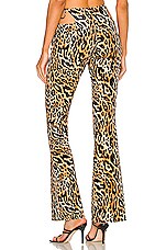 h:ours Nyla Pant in Leopard | REVOLVE