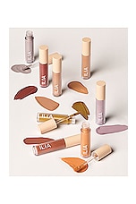 ILIA Liquid Powder Matte Eye Tint in Adobe | REVOLVE