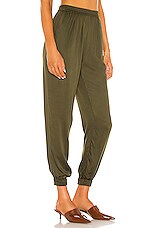 Indah Pierre Pant in Cactus | REVOLVE