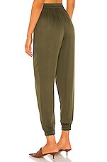 Indah Pierre Pant in Cactus | REVOLVE