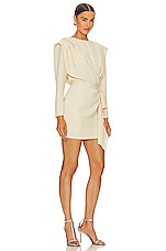 IRO Mitzi Mini Dress in Beige | REVOLVE