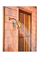 Jolie Skin Co. Filtered Showerhead in Brushed Gold | REVOLVE