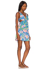 Maaji Felicity Mini Dress in Star Flower | REVOLVE