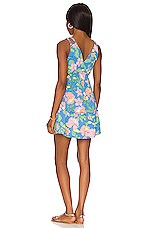Maaji Felicity Mini Dress in Star Flower | REVOLVE