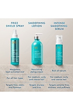 Moroccanoil Frizz Shield Styling Spray | REVOLVE