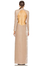 The New Arrivals by Ilkyaz Ozel Donyale Gown in Nude Fusion | REVOLVE