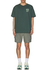 Nike Cargo Shorts in Dark Stucco & Summit White | REVOLVE