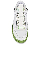 Nike Air Dunk Low Jumbo in Phantom, Chlorophyll, & Earth | REVOLVE