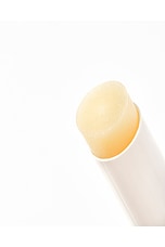 PROJECT LIP Matte Plumping Primer | REVOLVE