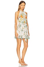 Poupette St Barth Cassandra Mini Dress in Green Equator | REVOLVE