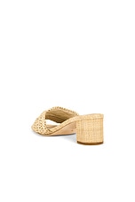 RAYE Rajesh Sandal in Raffia | REVOLVE