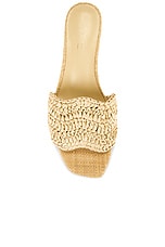 RAYE Rajesh Sandal in Raffia | REVOLVE