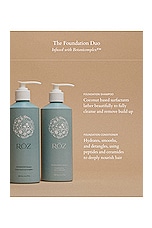 Roz Hair RŌZ Hair The Healthy Hair Kit | REVOLVE