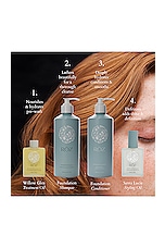 Roz Hair RŌZ Hair The Healthy Hair Kit | REVOLVE